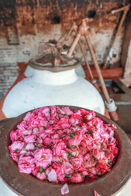 Contact Us - We're Here to Help You! | Dil Bahar Aromas